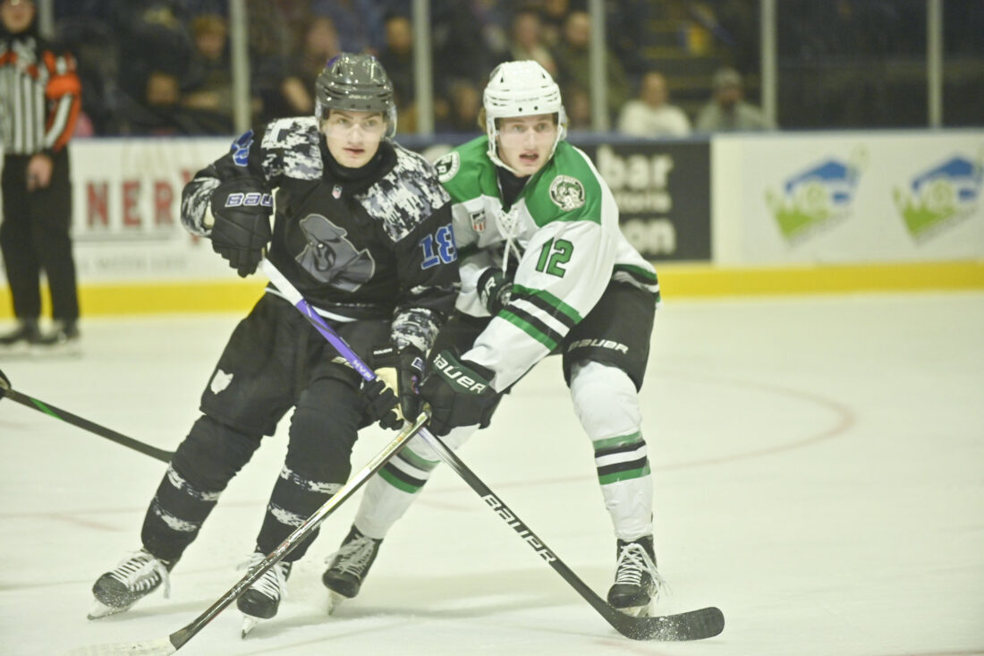 Phantoms’ Mesic eyeing one last goal: the Clark Cup | News, Sports ...